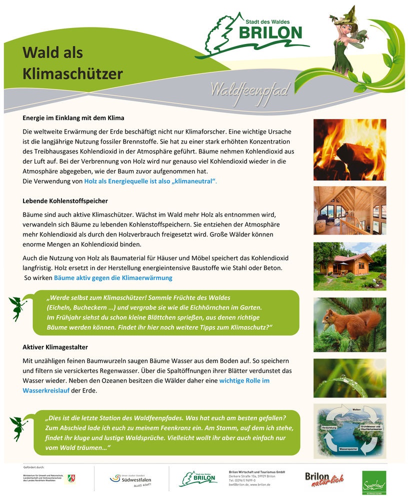 Forest fairy trail - Station 9: Forest as climate protector ...