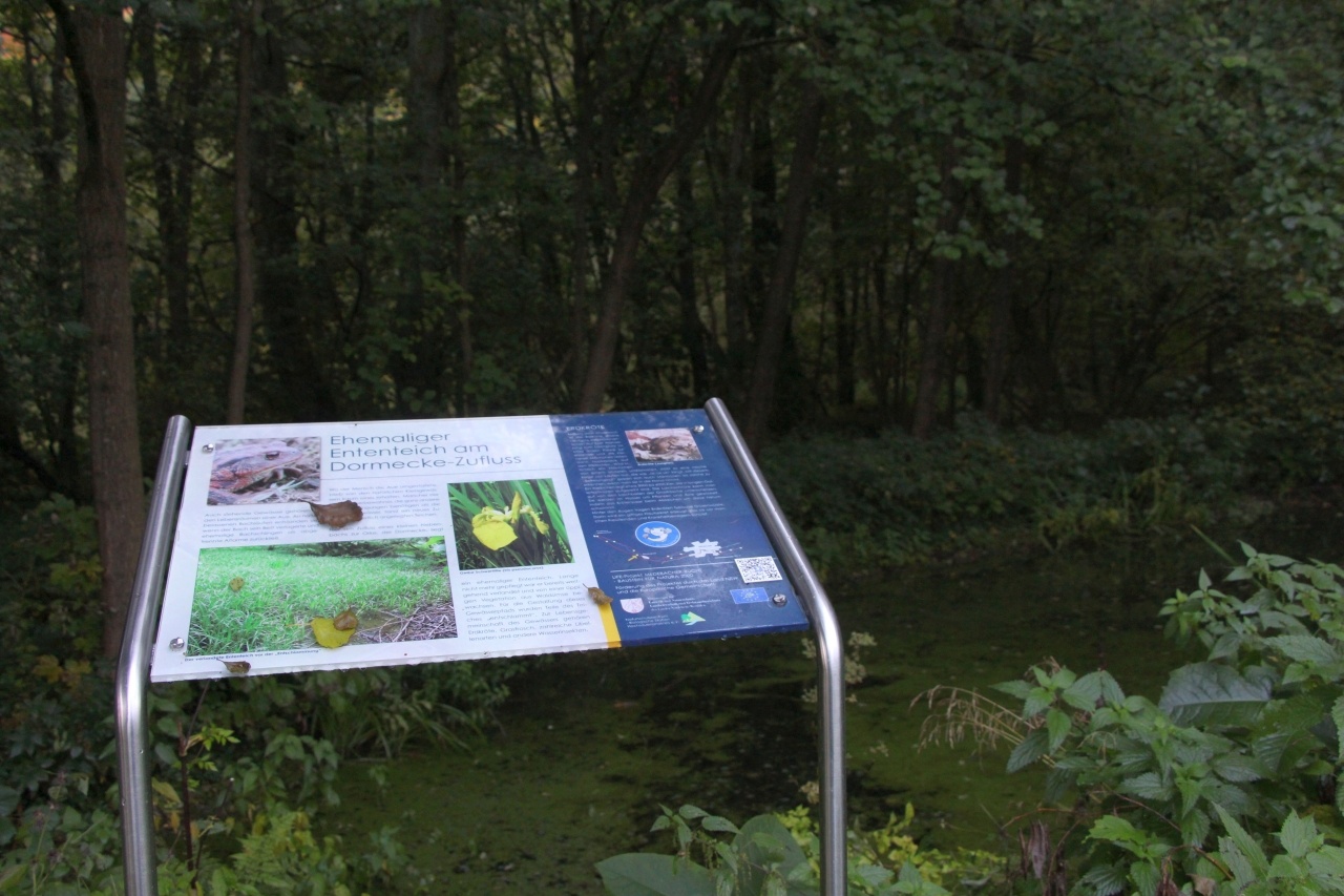 Informatiebord 9 op het Am Gewässerpfad Orke - Sauerland.com