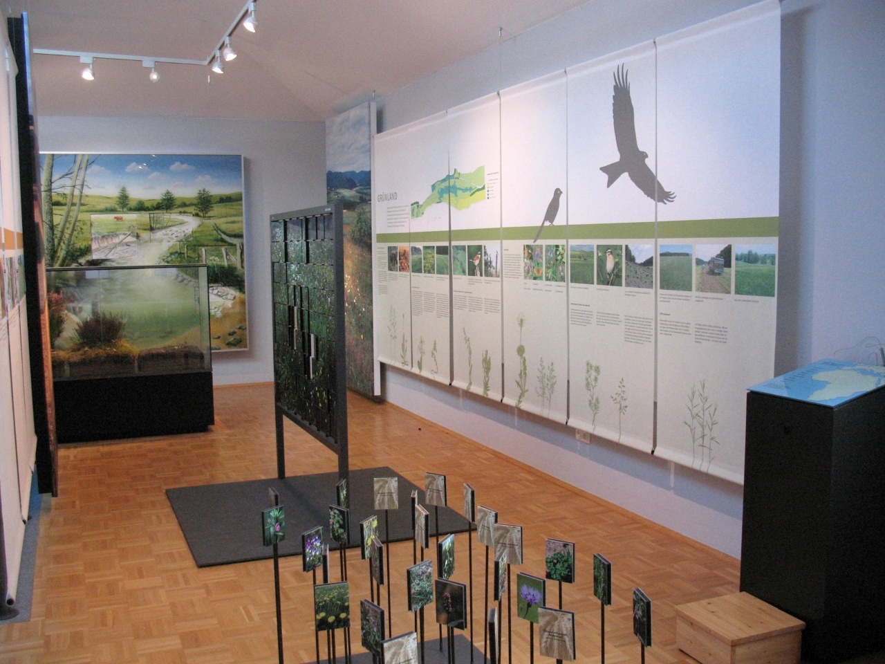 Medebach Nature Park Information Center - Sauerland.com