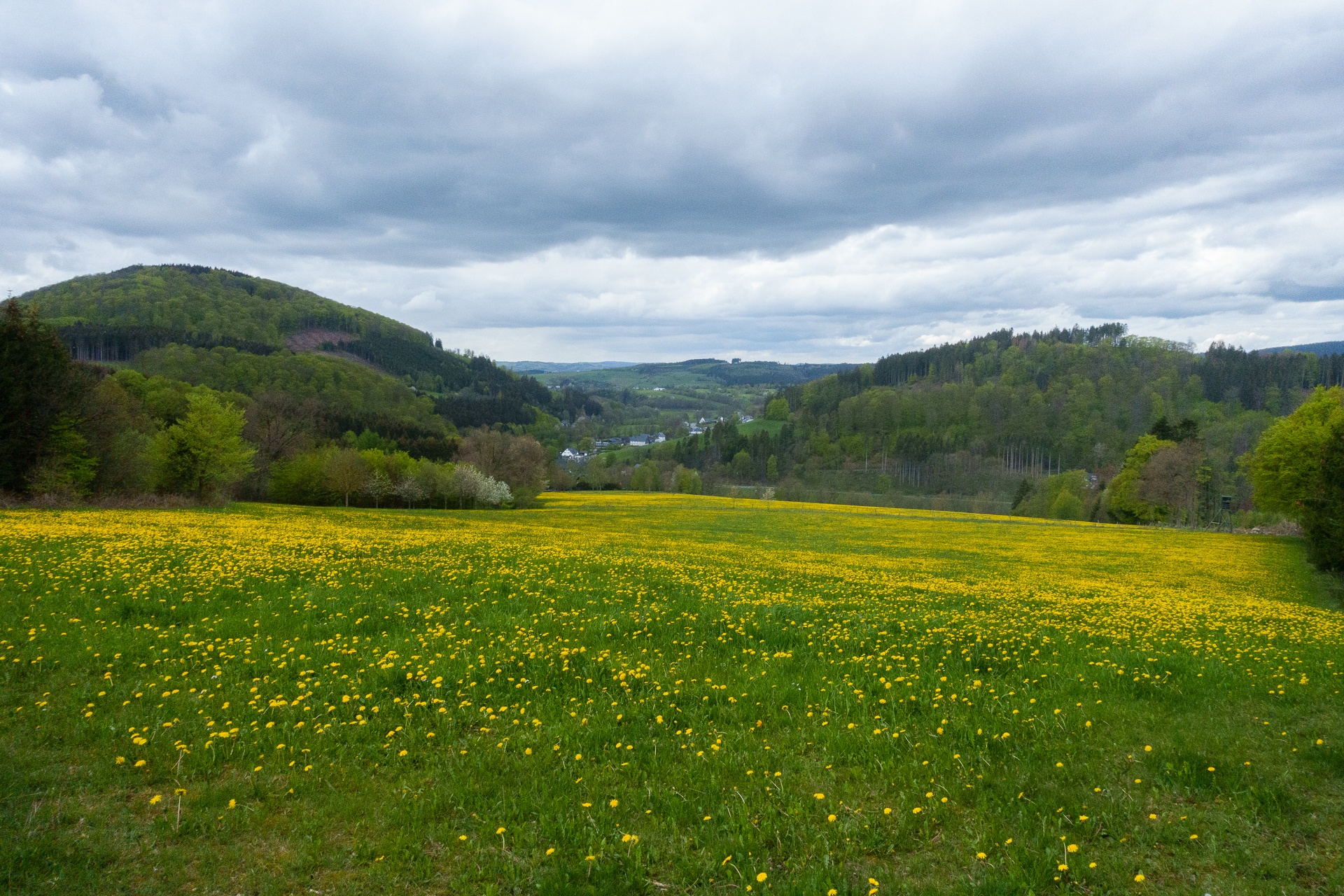 Photo route Oberkirchen (Station 9): Landscapes in optimal light ...