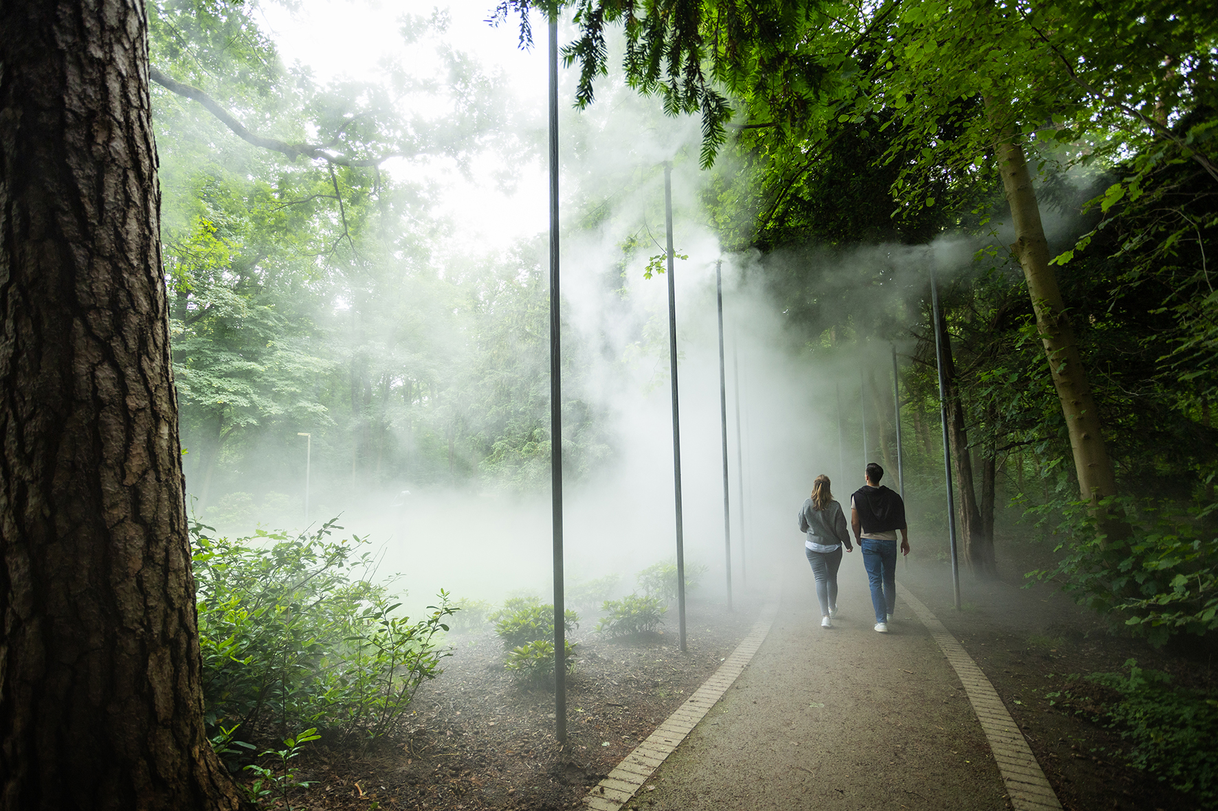 Fog path - Sauerland.com