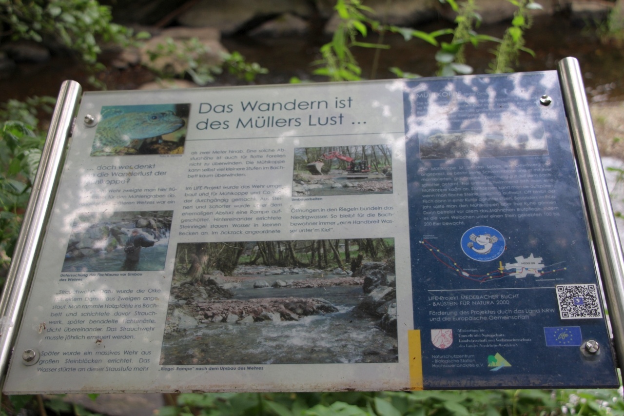 Informatiebord 2 op het Am Gewässerpfad Orke - Sauerland.com