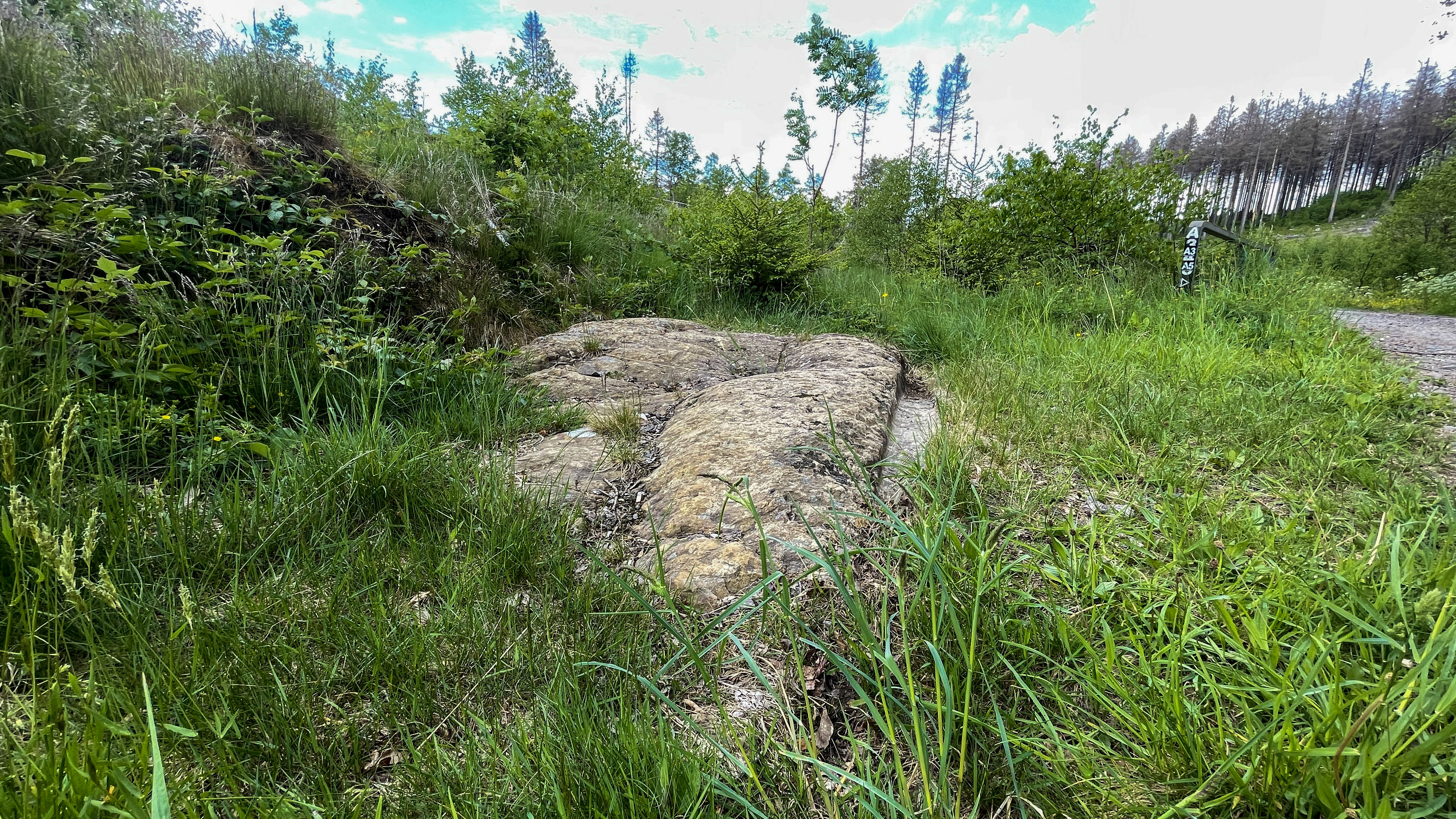 The Willertshagen Devil's Stone (world of legends) - Sauerland.com
