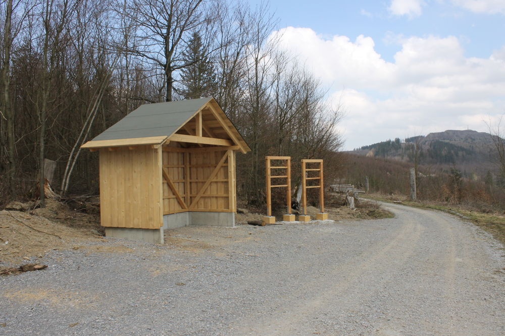 Forest Fairy Trail - Station 8: Energy grows in the forest! - Sauerland.com