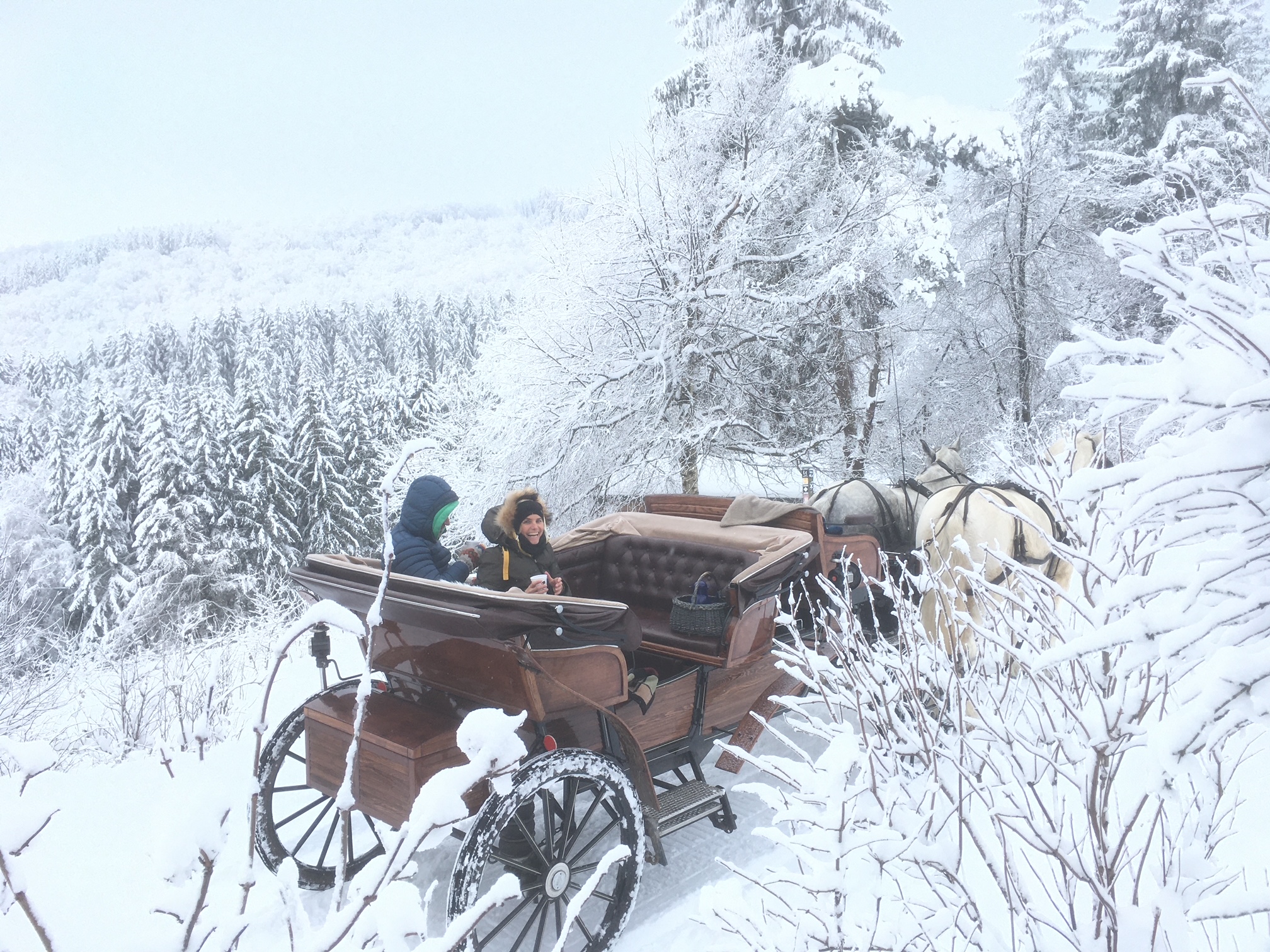 Horse-drawn sleigh rides - Sauerland - Sauerland.com